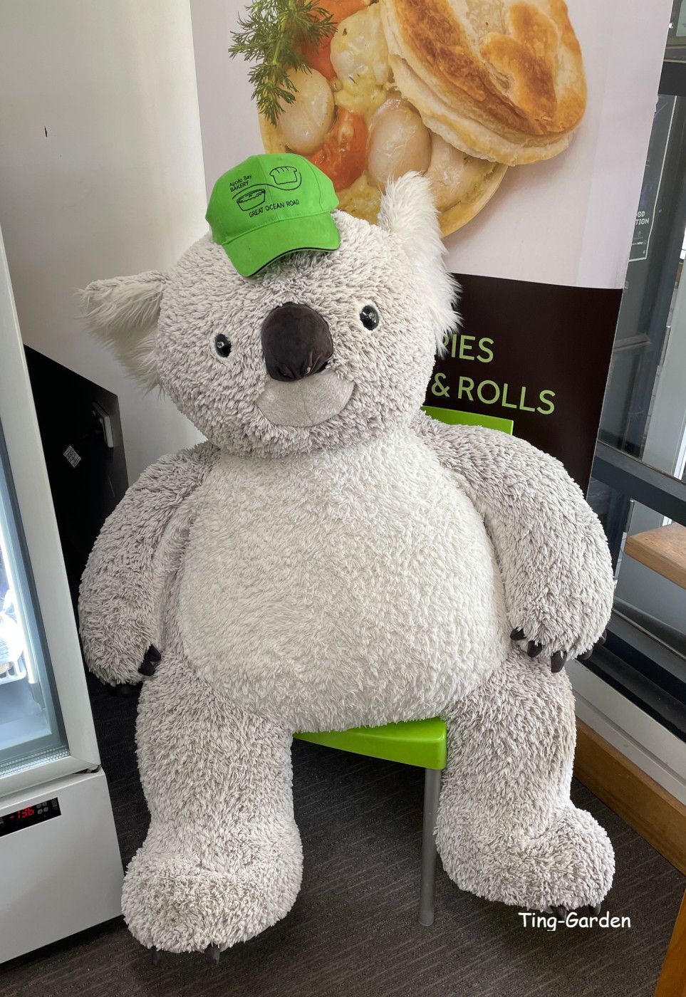 〔澳洲〕大洋路阿波羅灣 | Apollo Bay Bakery | 美食推薦 – 必吃干貝派 - Ting LifeStyle